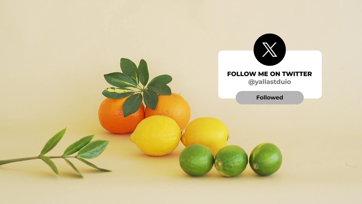 Twitter X Social Media | After Effects - Yalla Studio